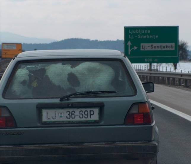 Maximizing Vehicle Usefullness - Off-topic/Deleted Posts - Volvospeed Forums